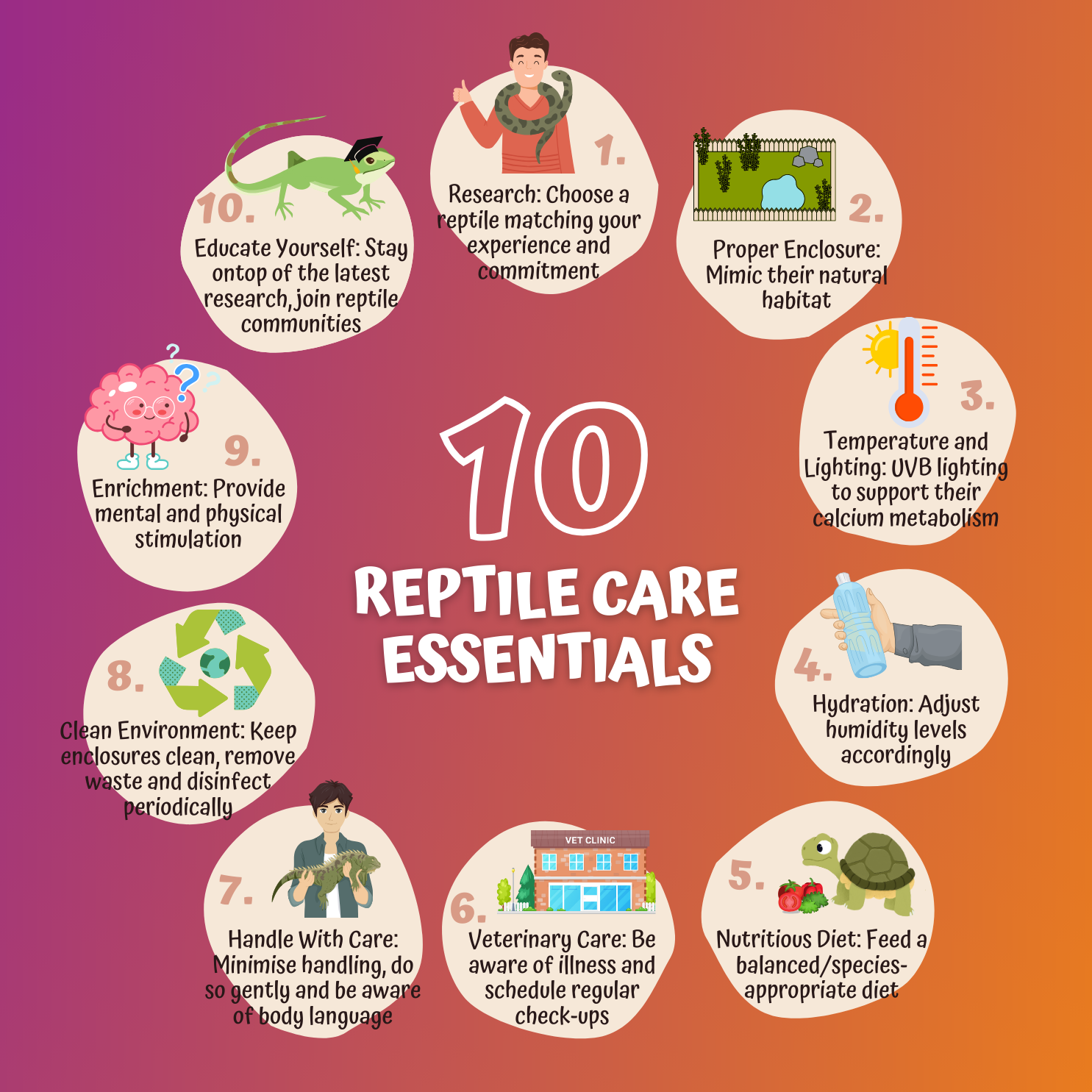 Reptile Awareness Day 🐢 Top Tips! 🐍